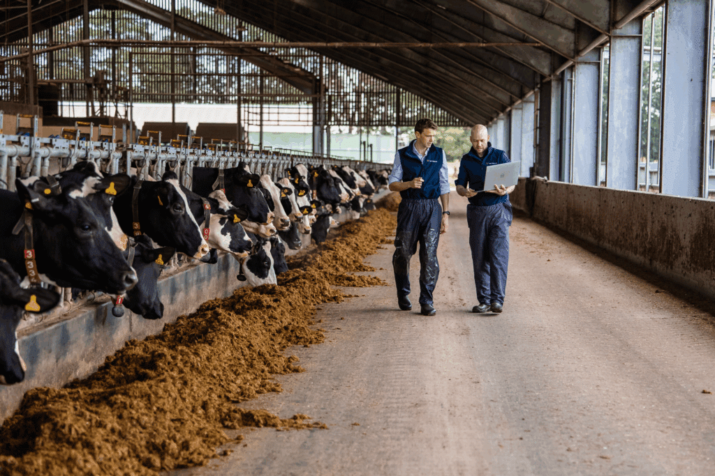 Vet Vision AI - A spin-out from Nottingham Technology Ventures